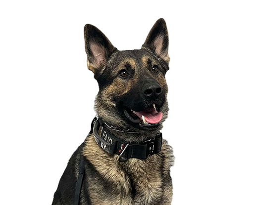 Confluence Health MyChart Redesign